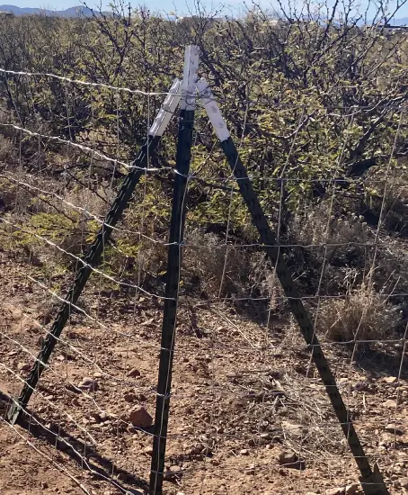 Three Girls and Forty Acres of Fencing | Projects | Off Grid Girls